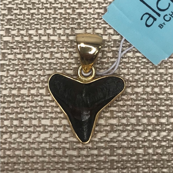 Charles Albert | Jewelry | Nwt Charles Albert Mini Shark Tooth Pendant ...